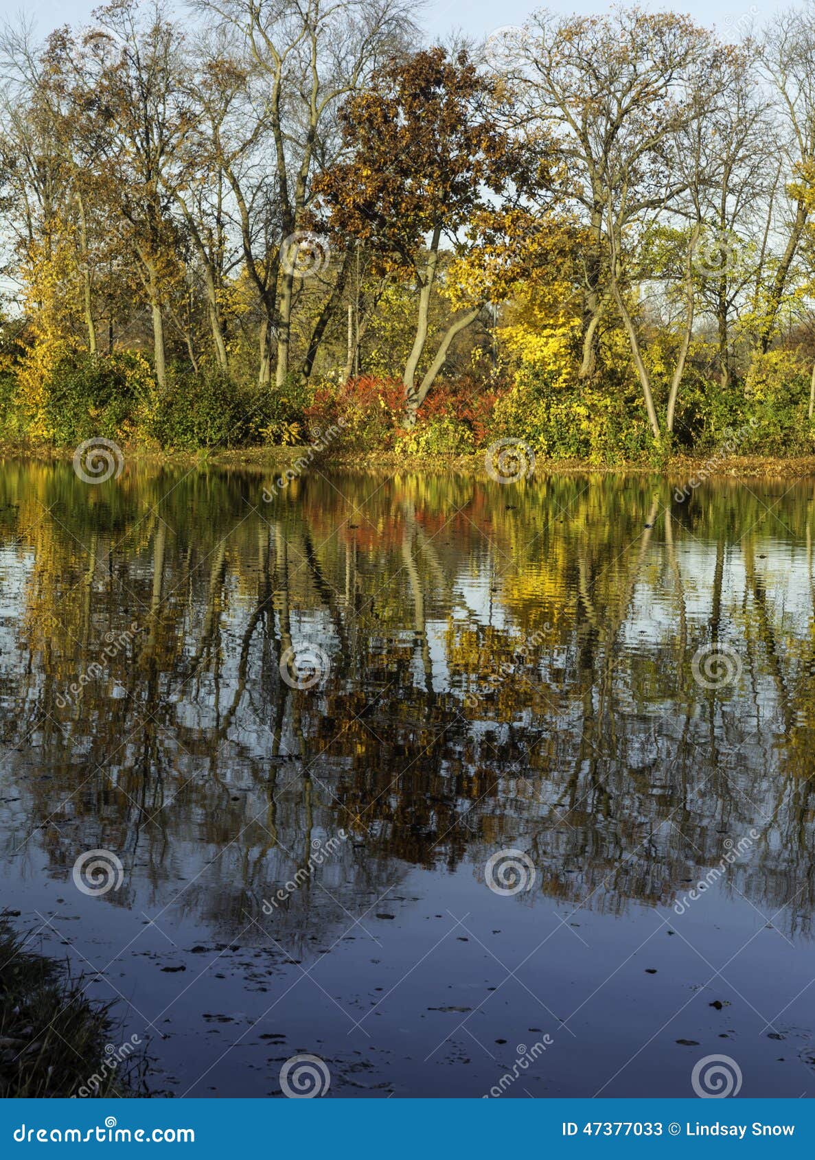 Fall Pond stock image. Image of natural, outdoors, season - 47377033
