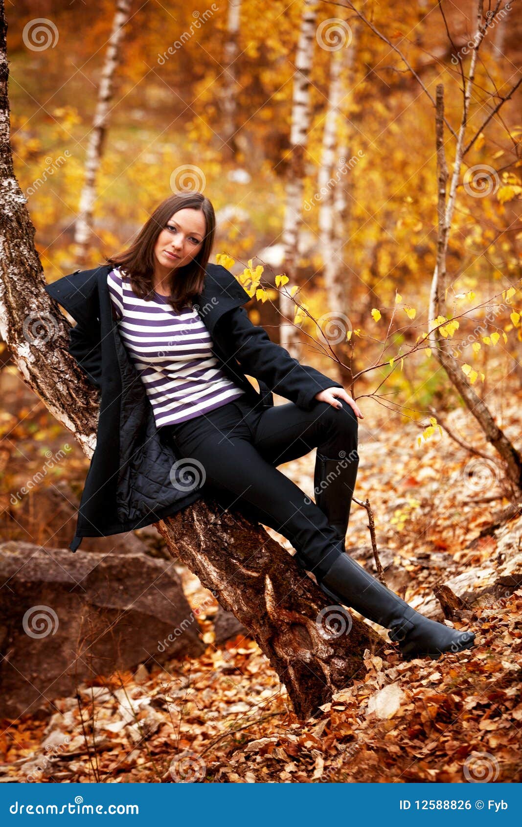 Fall Portrait of a Beautiful Woman Stock Photo - Image of adult ...