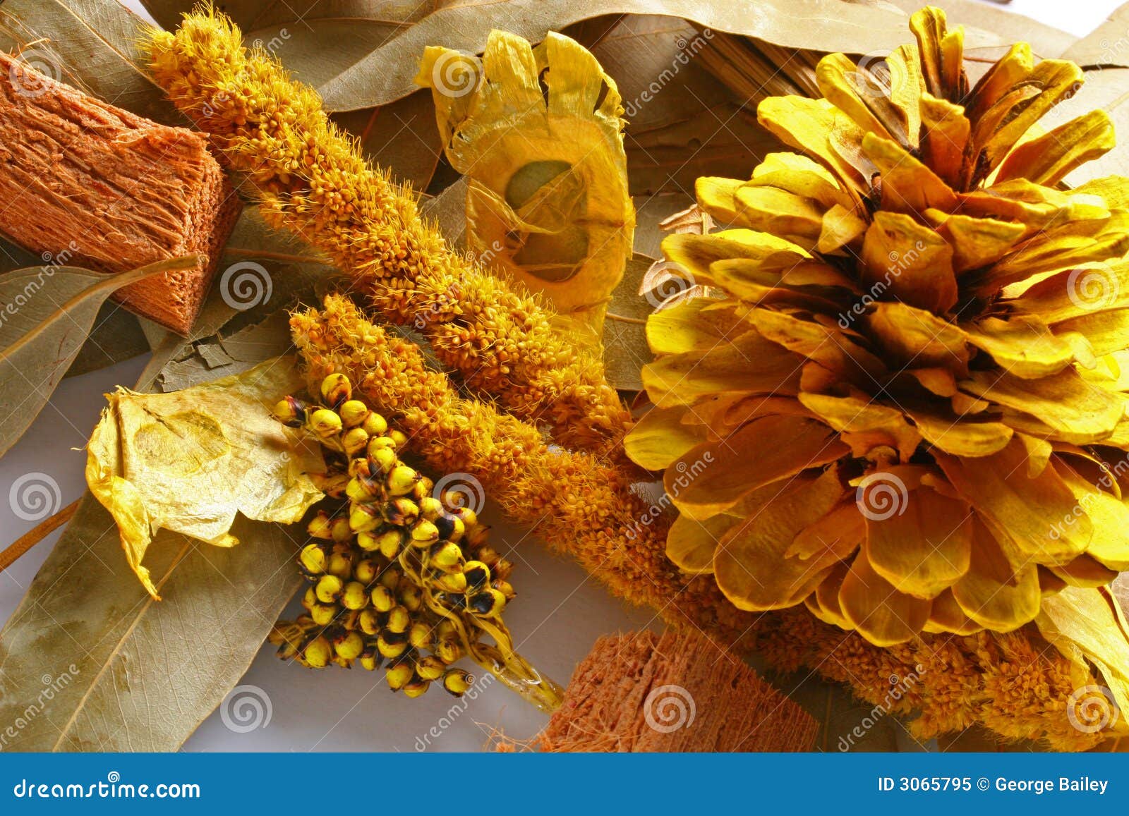 Fall Potpourri Display stock image. Image of dried, yellow - 3065795