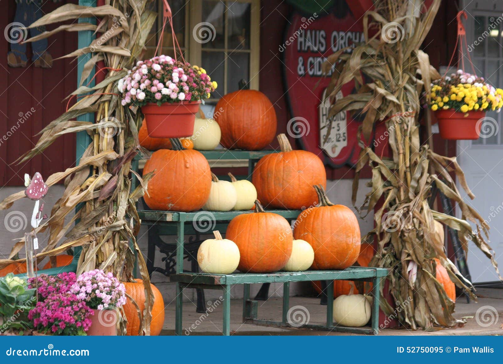 Fall pumpkins stock image. Image of market, store, youngstown - 52750095