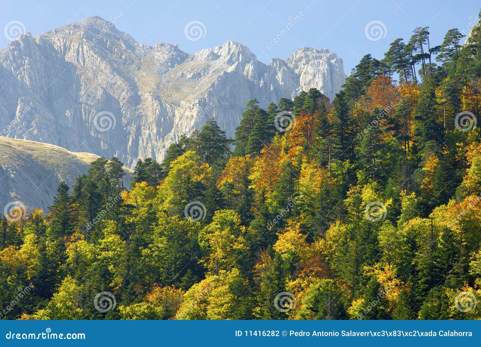 Fall in Pyrenees stock photo. Image of aragon, foliage - 11416282
