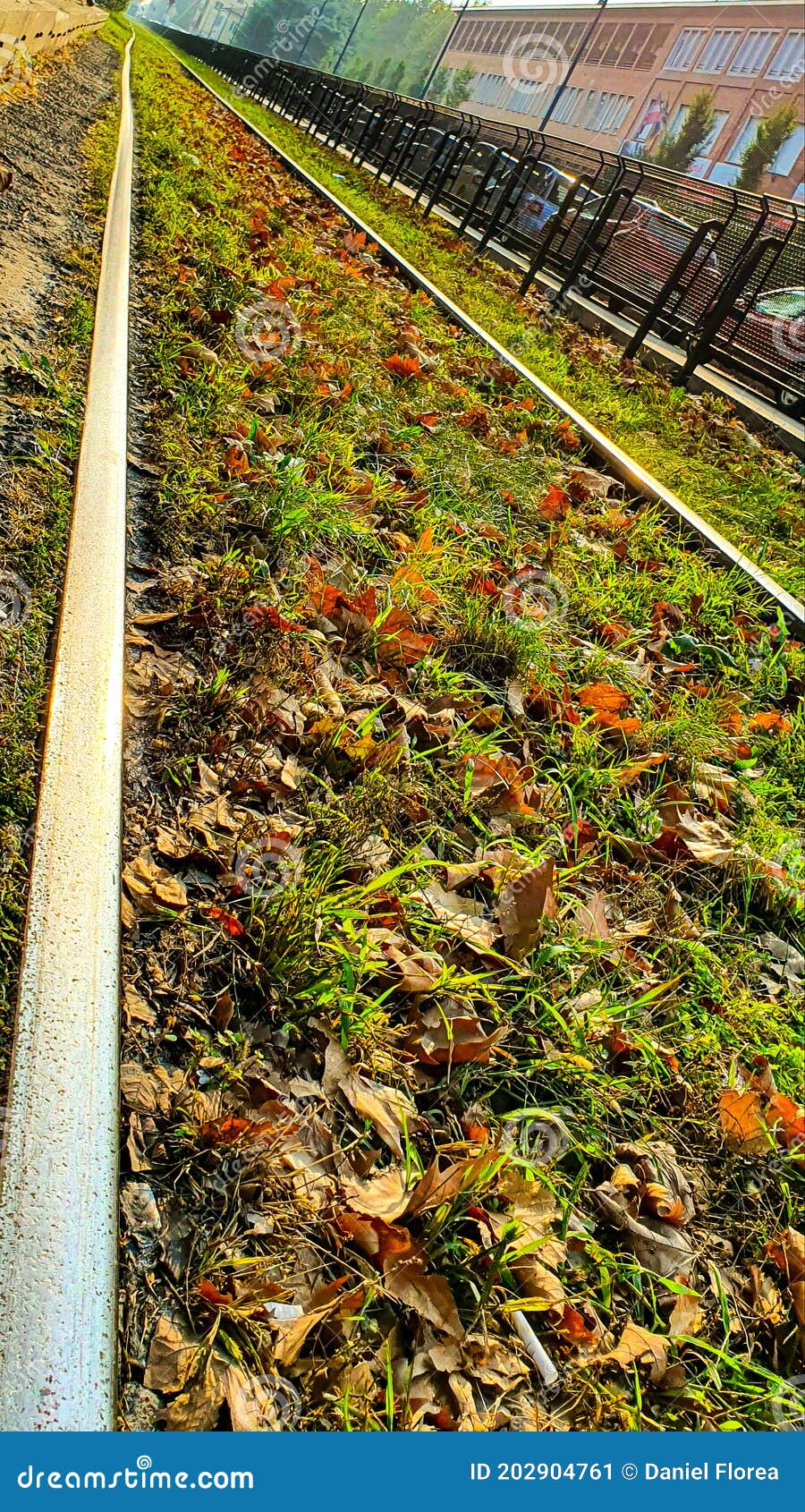 Fall and rail stock image. Image of sunlight, garden - 202904761