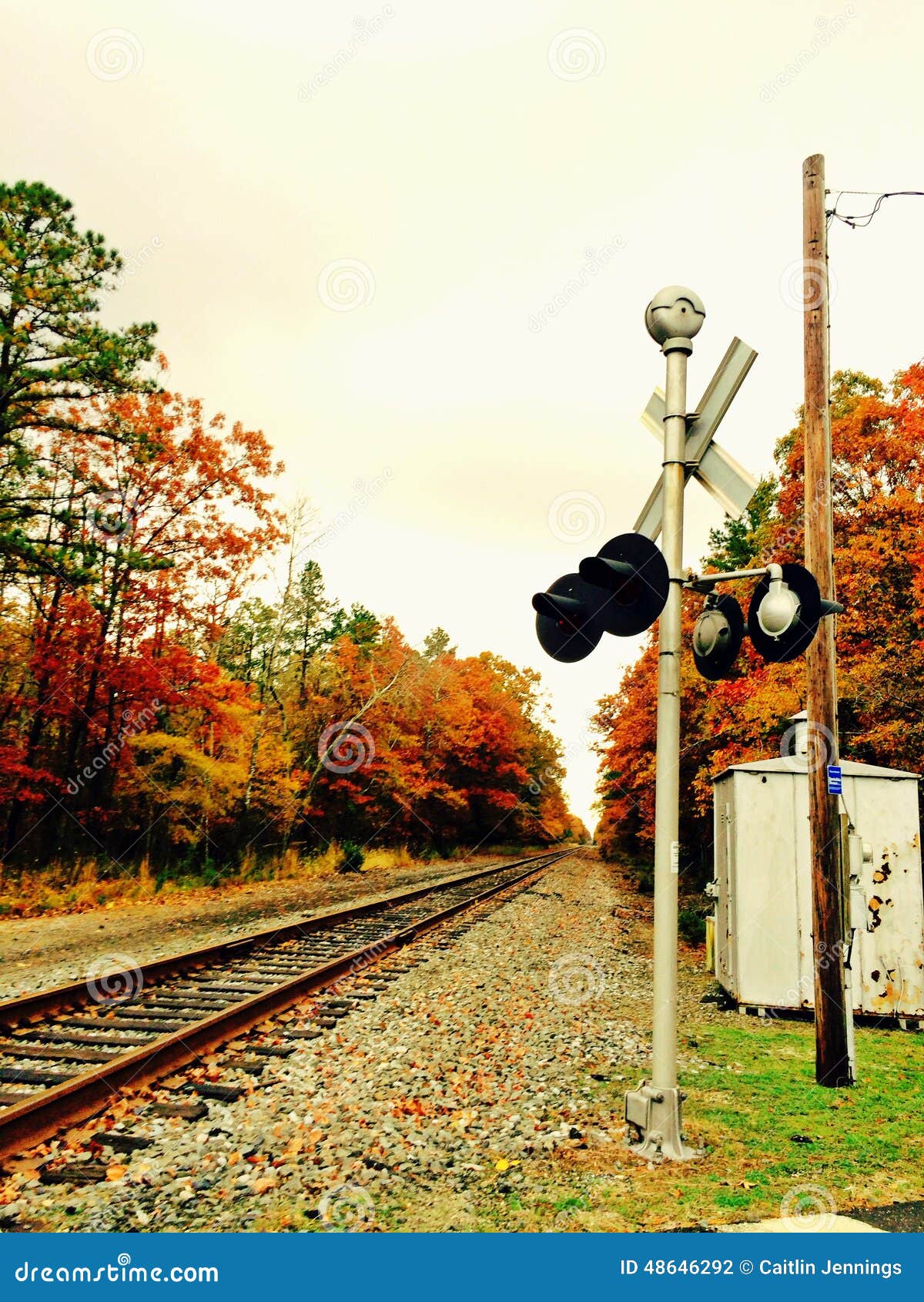 Fall railroad stock photo. Image of nature, leaves, railroad - 48646292