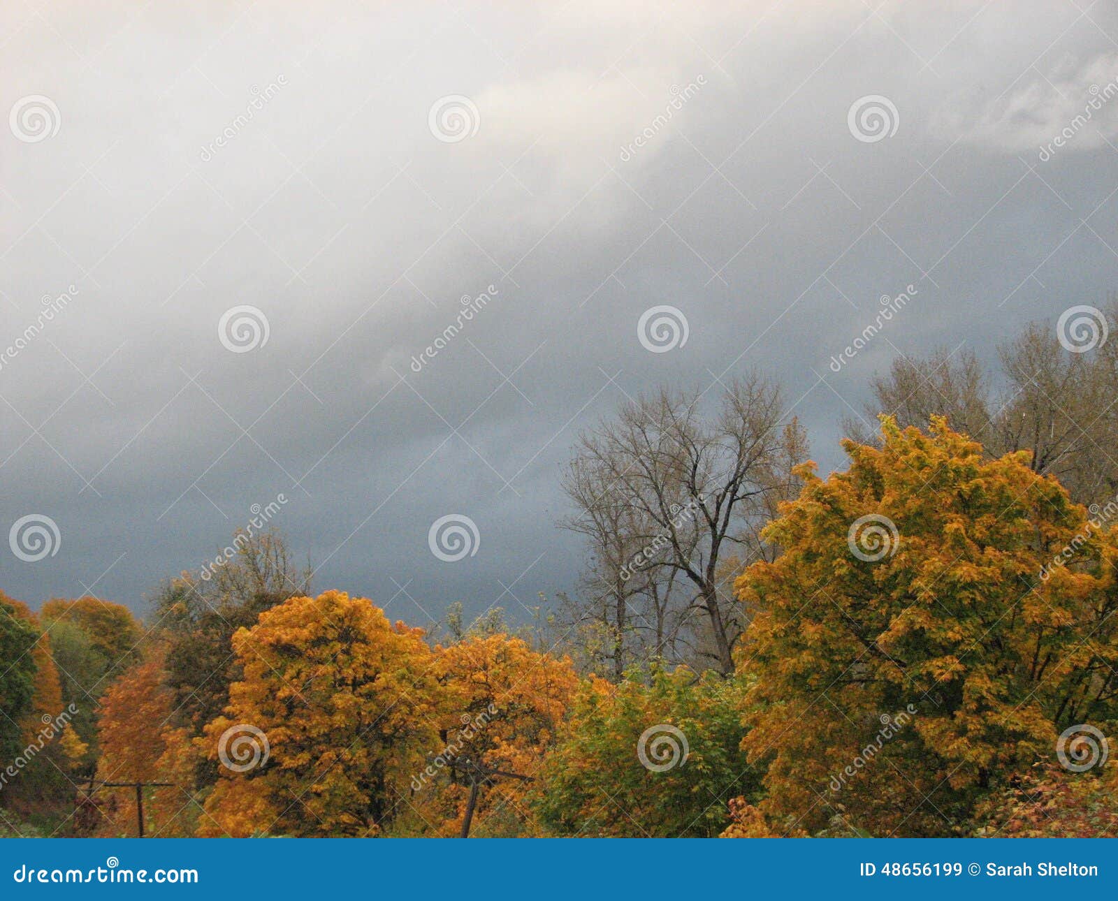 Fall rain stock image. Image of landscape, trees, west - 48656199