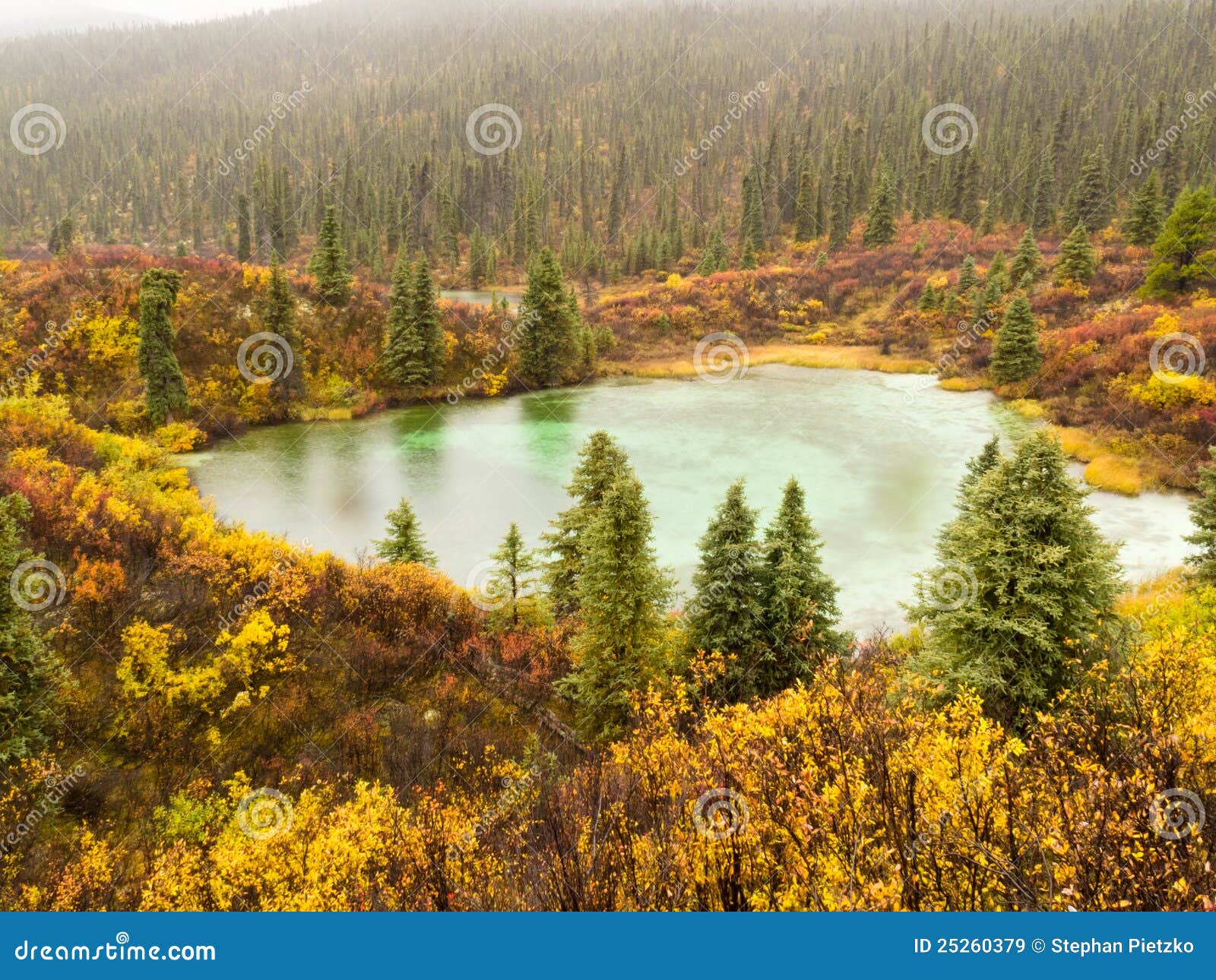 Canadian Wilderness Lake