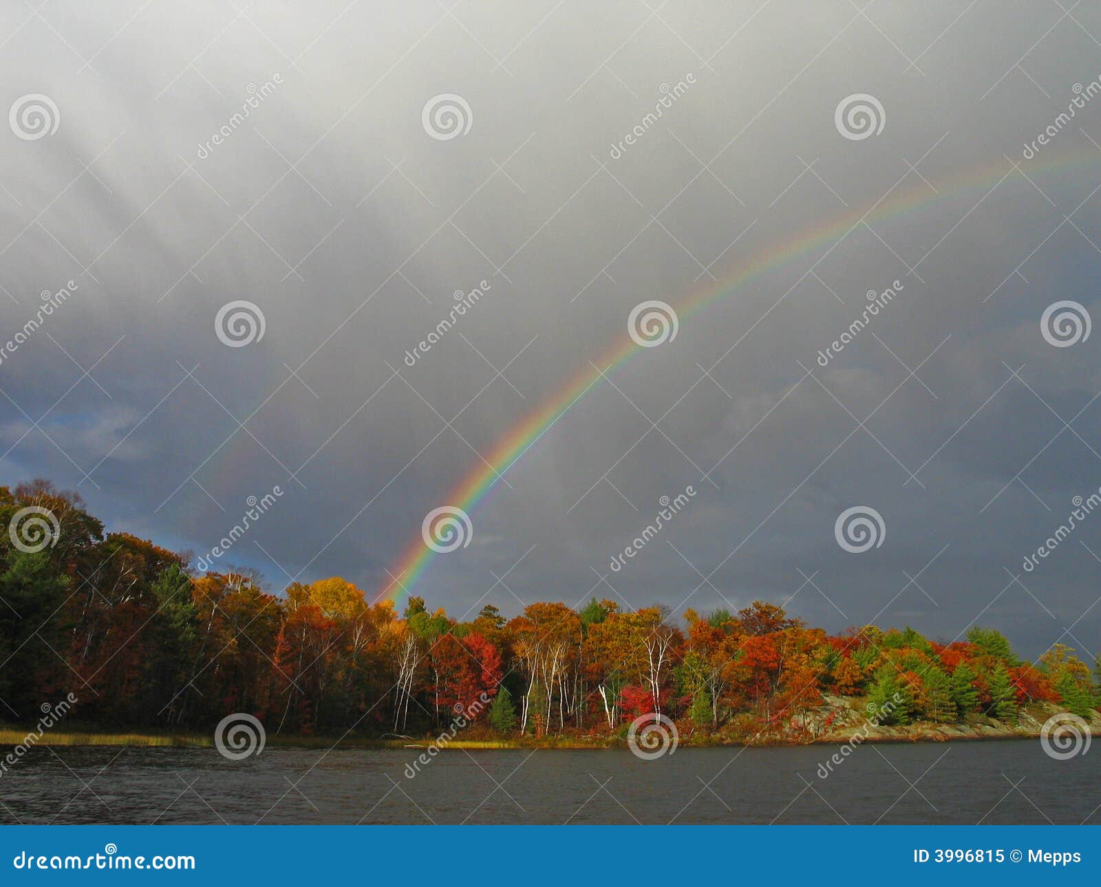 Fall Rainbows stock image. Image of rainbow, fall, forest - 3996815