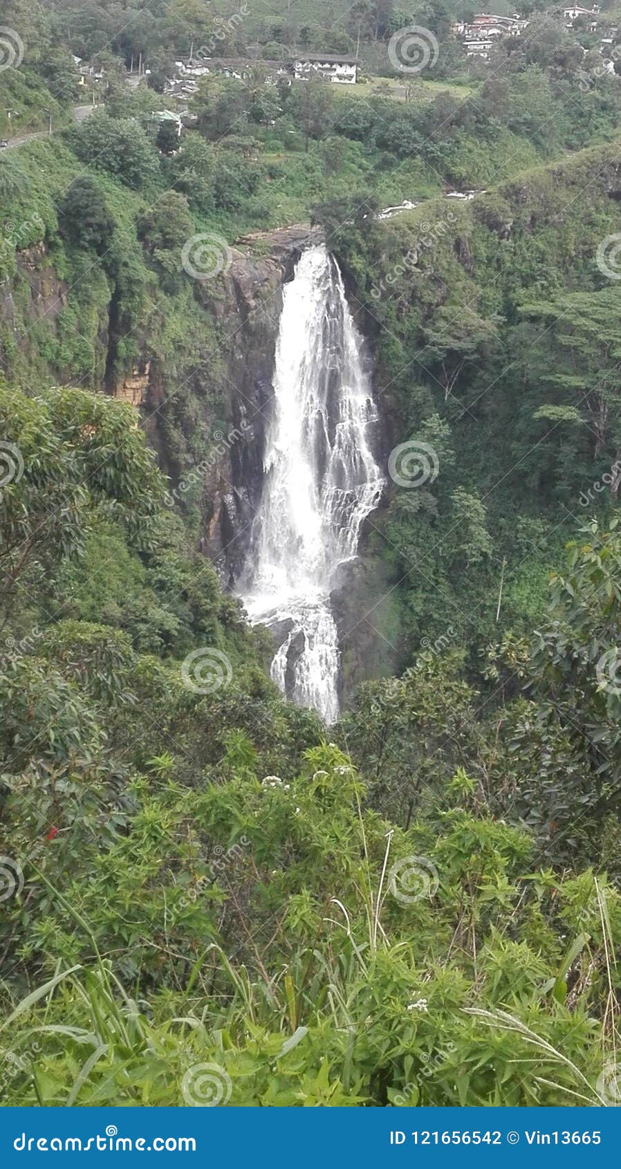 Fall ramboda stock photo. Image of ramboda, fall, boda - 121656542