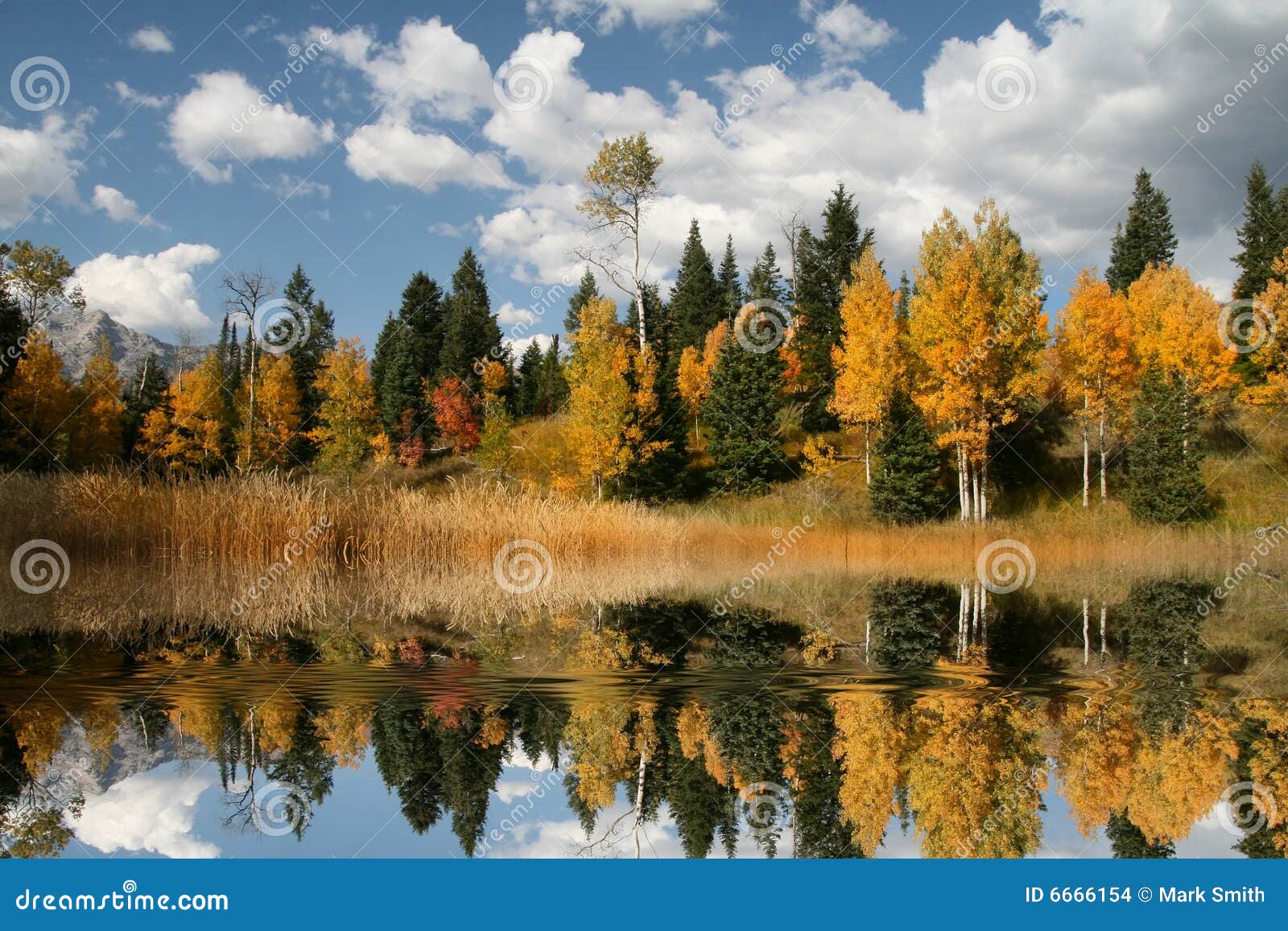 Fall Refelctions stock photo. Image of yellow, autumn - 6666154