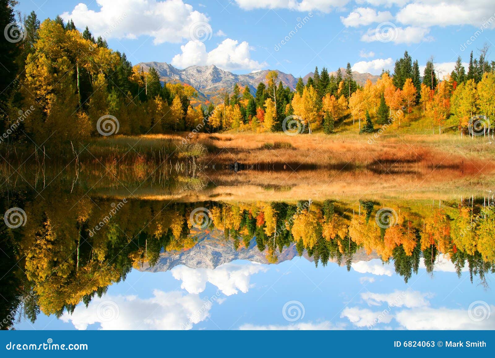 Fall Refelctions stock image. Image of gold, autumn, outdoors - 6824063