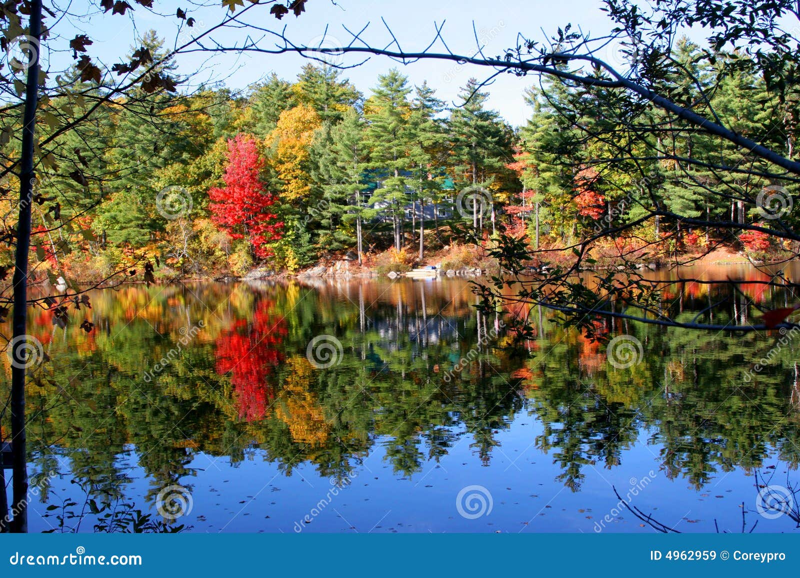 Fall Reflection stock image. Image of autum, water, england - 4962959