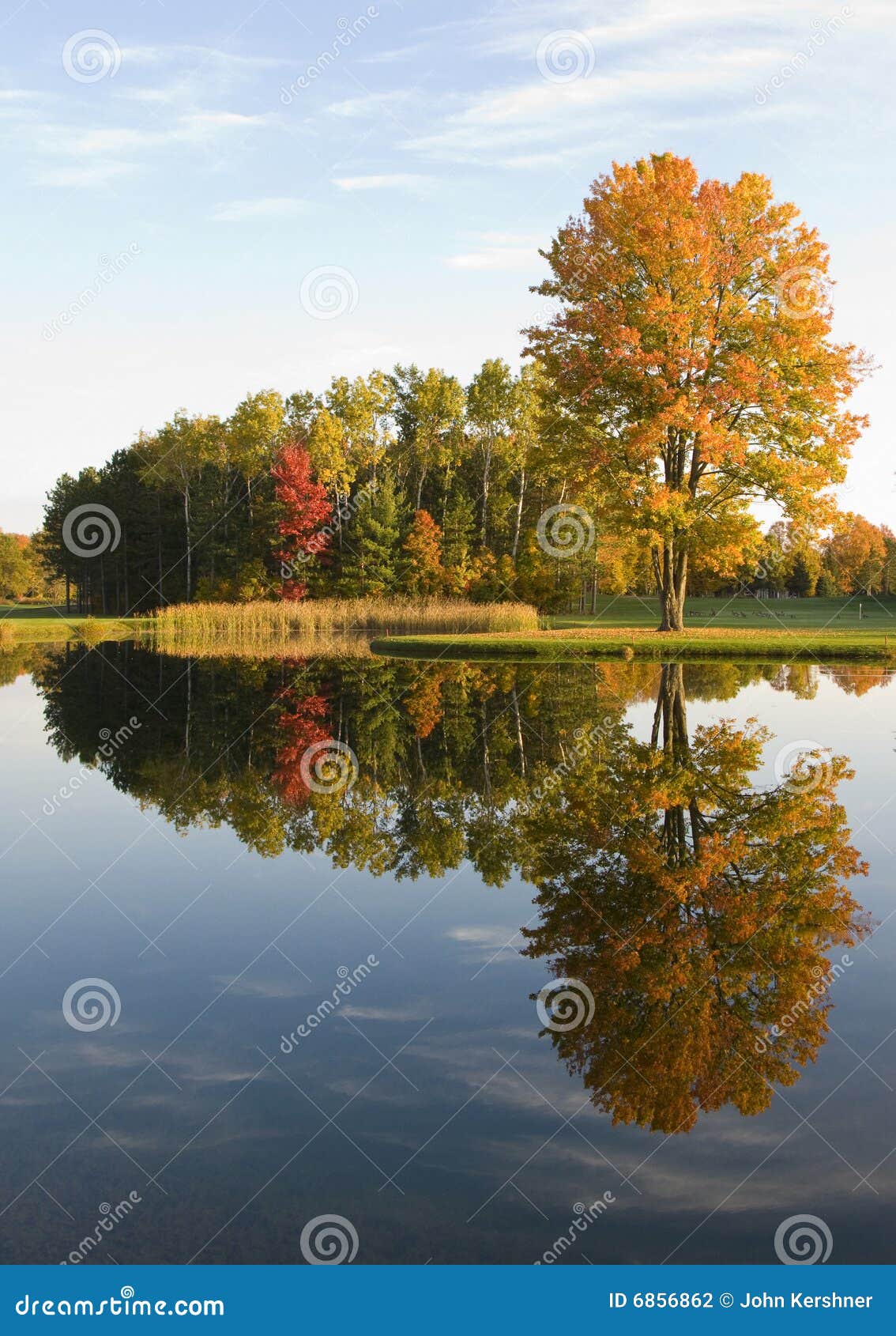 Fall Reflection stock photo. Image of orange, portrait - 6856862
