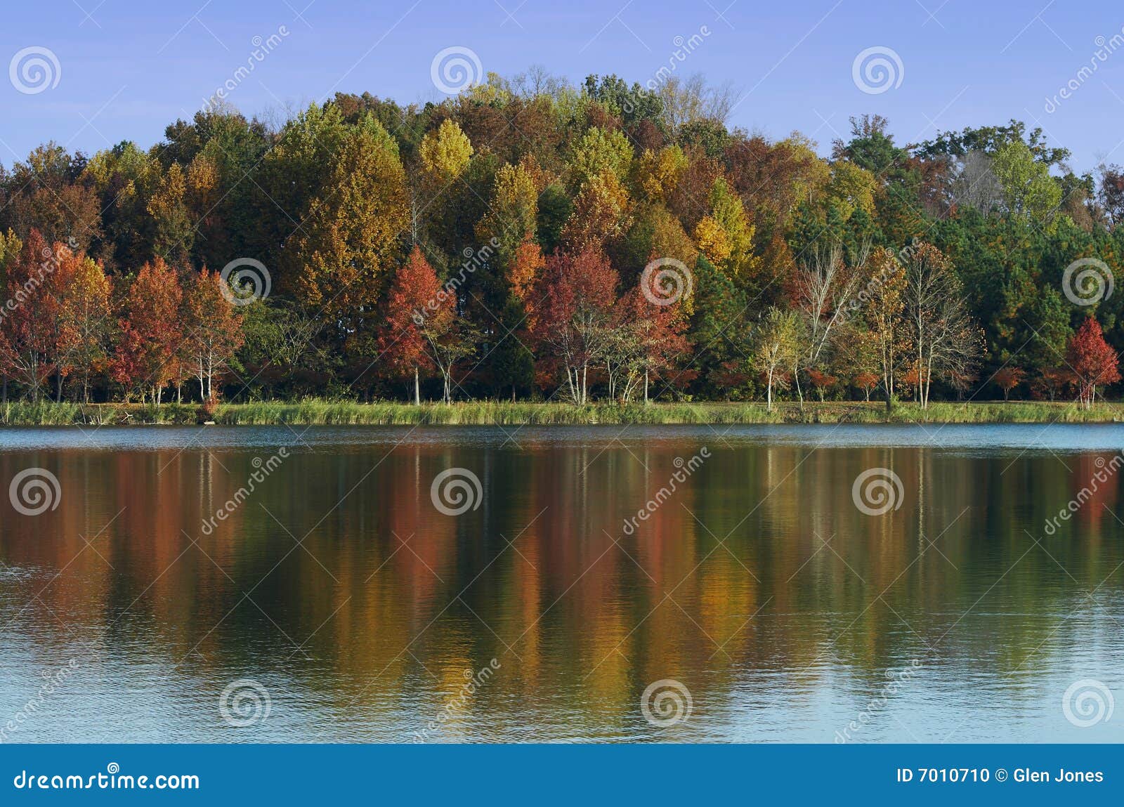 Fall reflection stock photo. Image of environment, beauty - 7010710