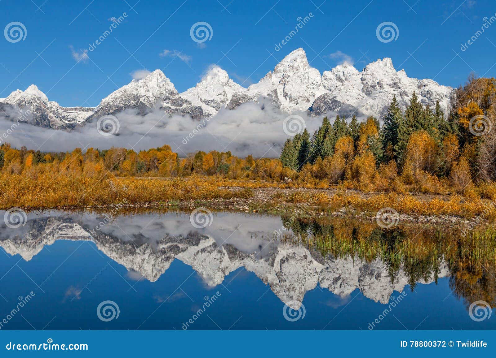 Fall Reflection in the Tetons Stock Photo - Image of landscape, autumn ...