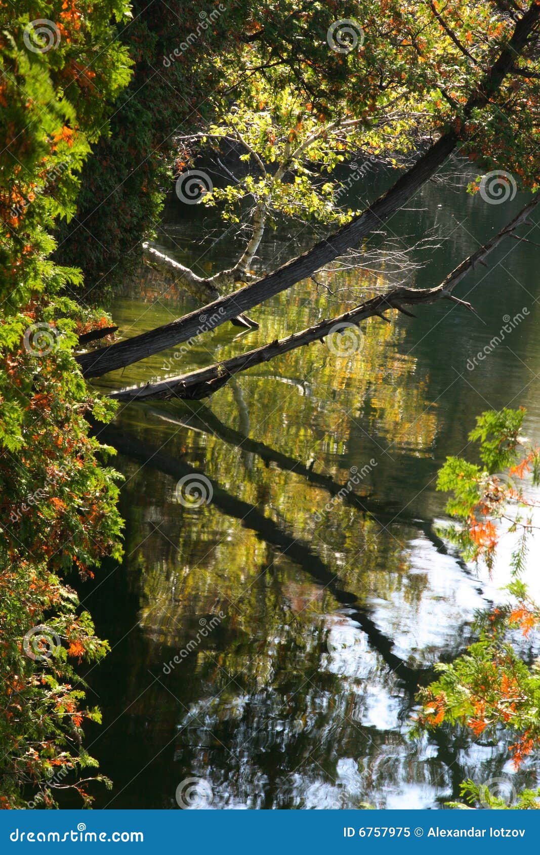 Fall Reflection in the Water. Stock Image - Image of abstract, leaf ...