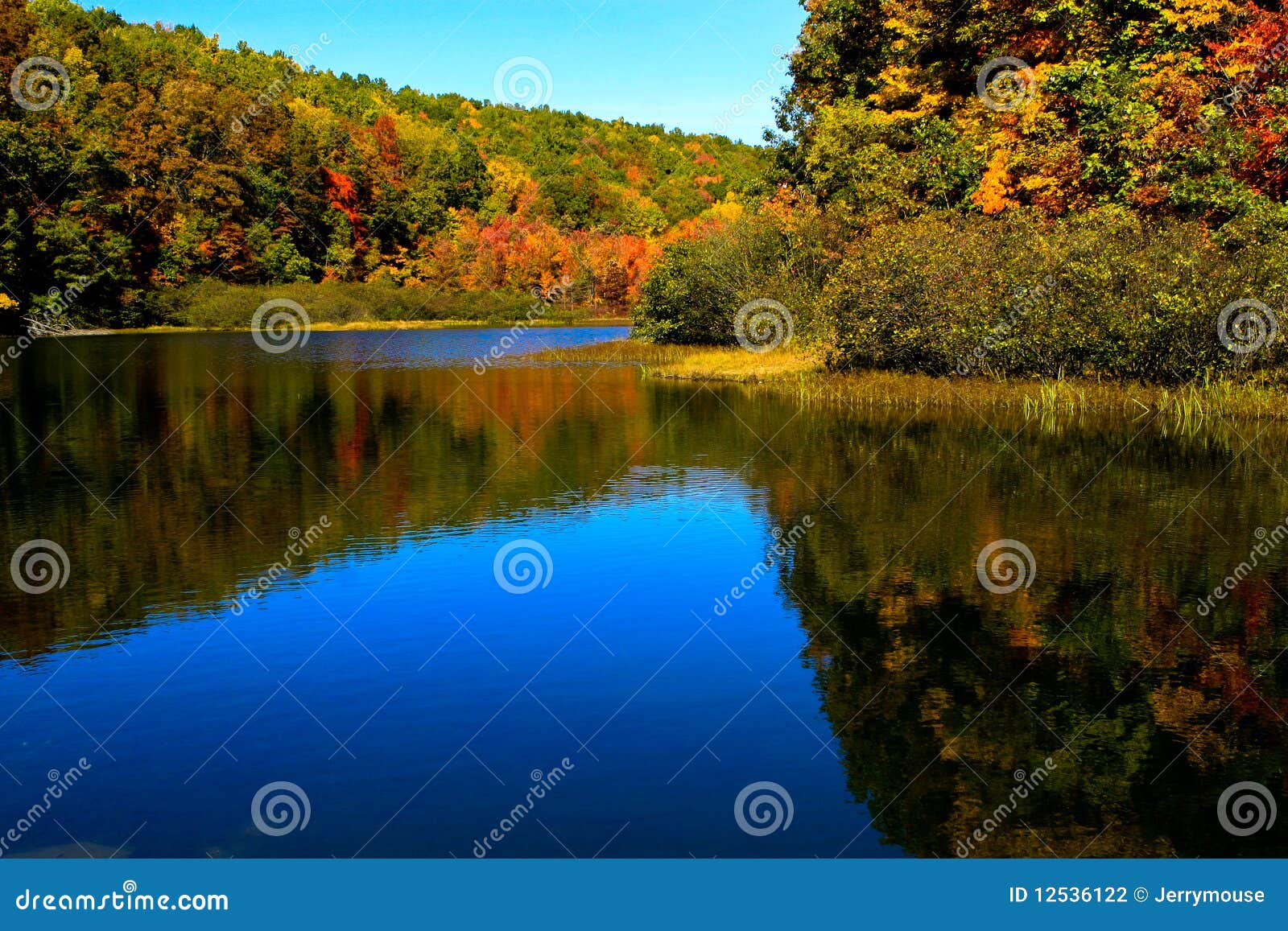 Fall reflections stock photo. Image of peaceful, forest - 12536122