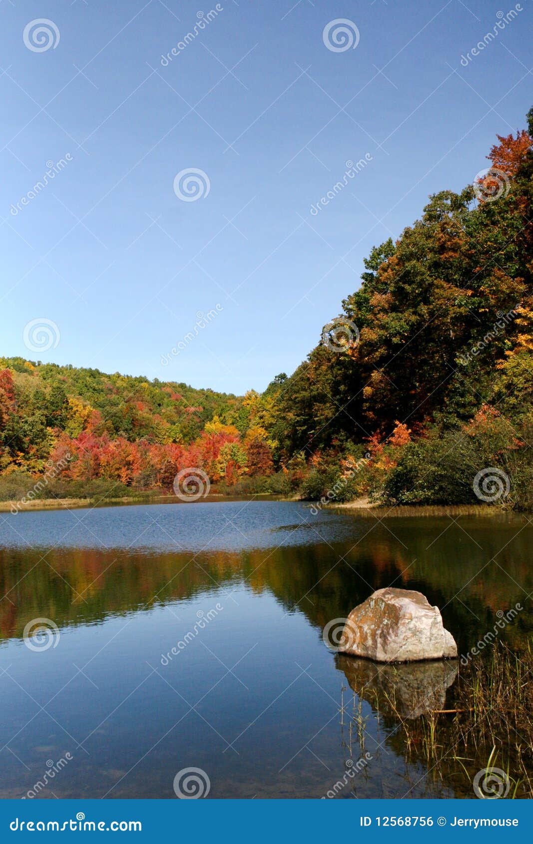 Fall reflections stock photo. Image of landscape, plants - 12568756