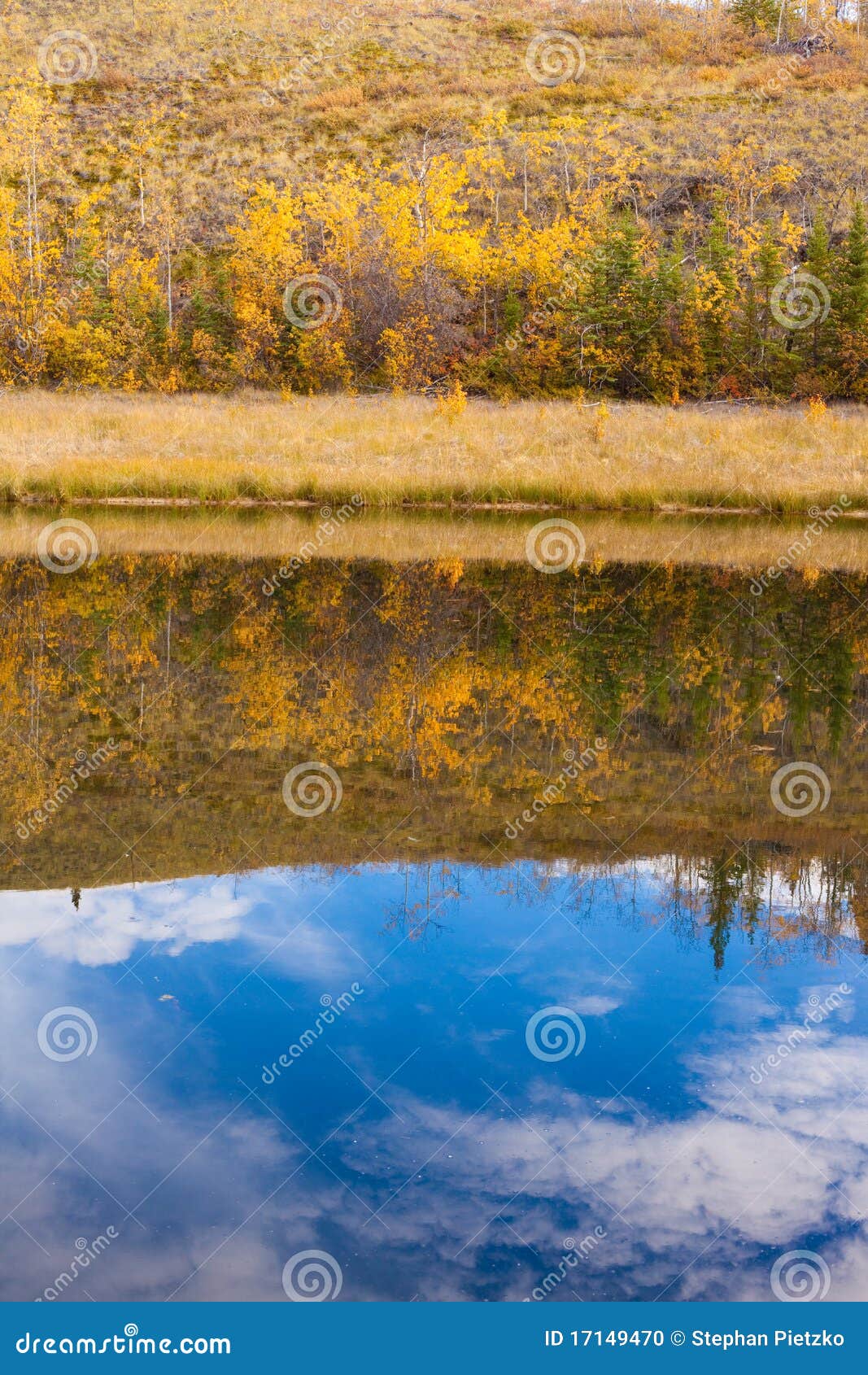 Fall Reflections on Water Surface Stock Photo - Image of colours ...