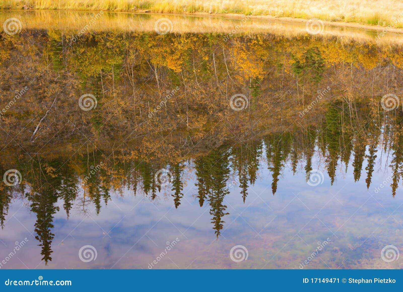 Fall Reflections on Water Surface Stock Image - Image of outdoors ...