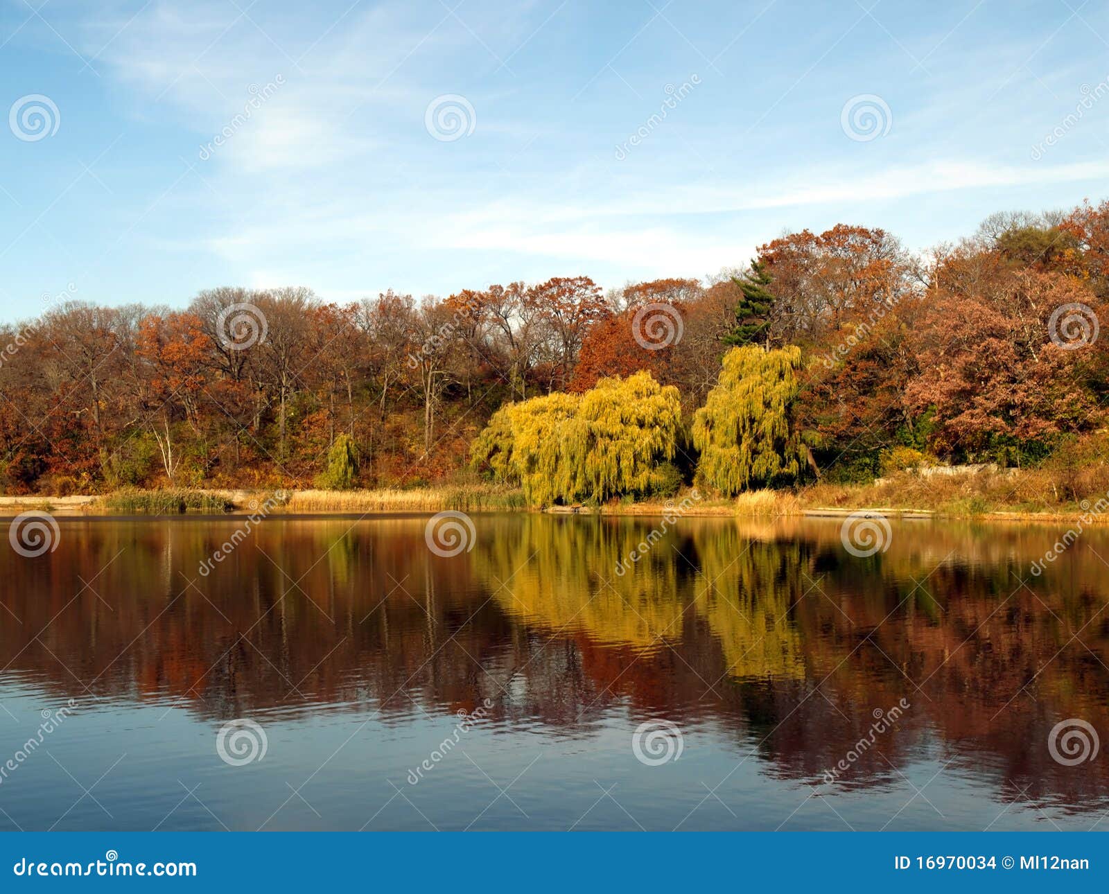Fall river stock photo. Image of fall, landscape, ecology - 16970034
