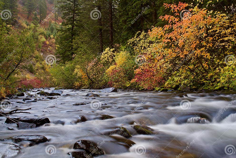 Fall River Colors stock photo. Image of water, stream - 101519314