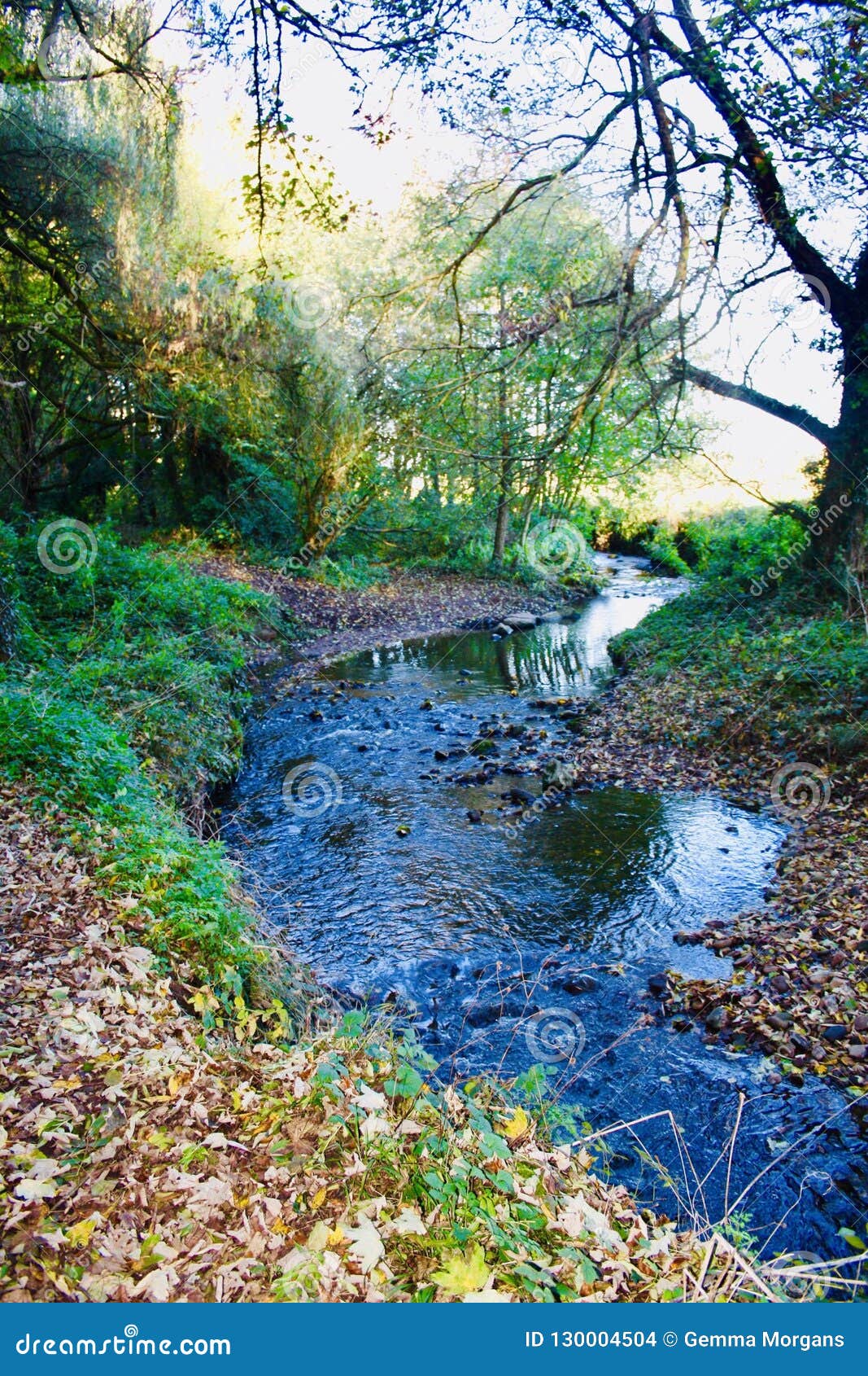 Fall river stock photo. Image of vivid, water, autumn - 130004504