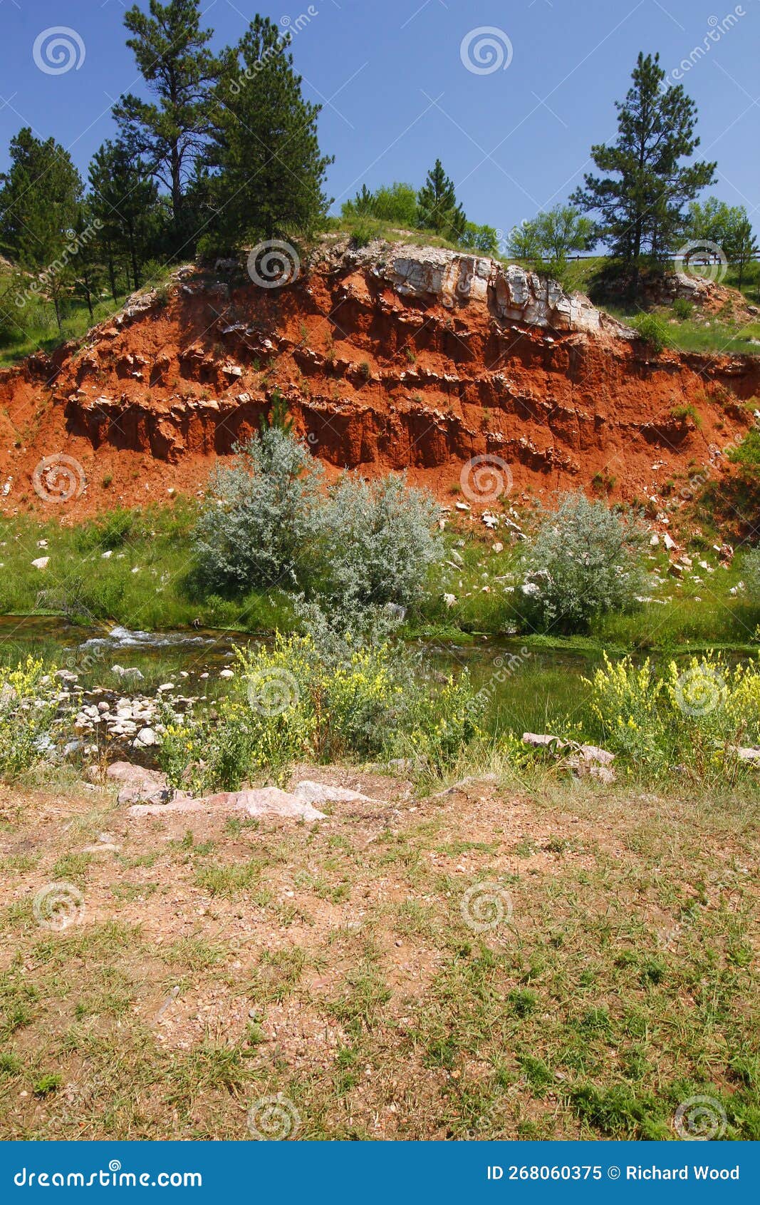 Chautauqa Park, Hot Springs, South Dakota Stock Image - Image of park ...