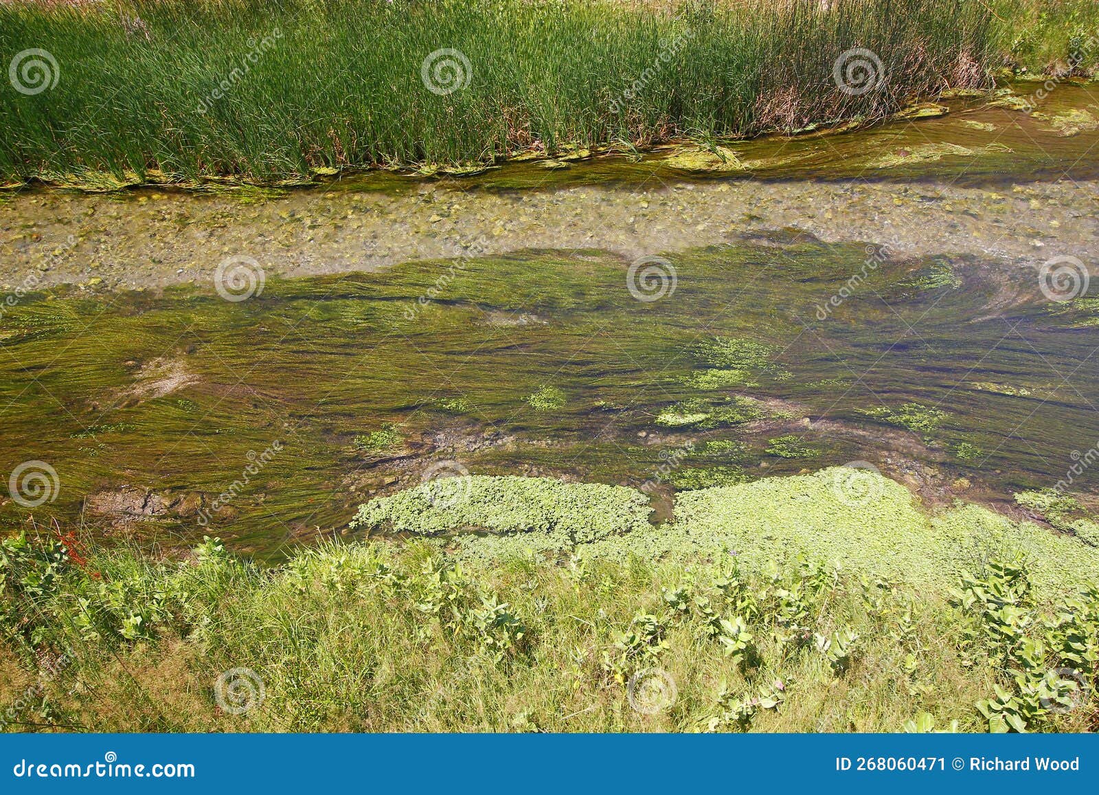 Fall River, Hot Springs, South Dakota Stock Image - Image of fall ...