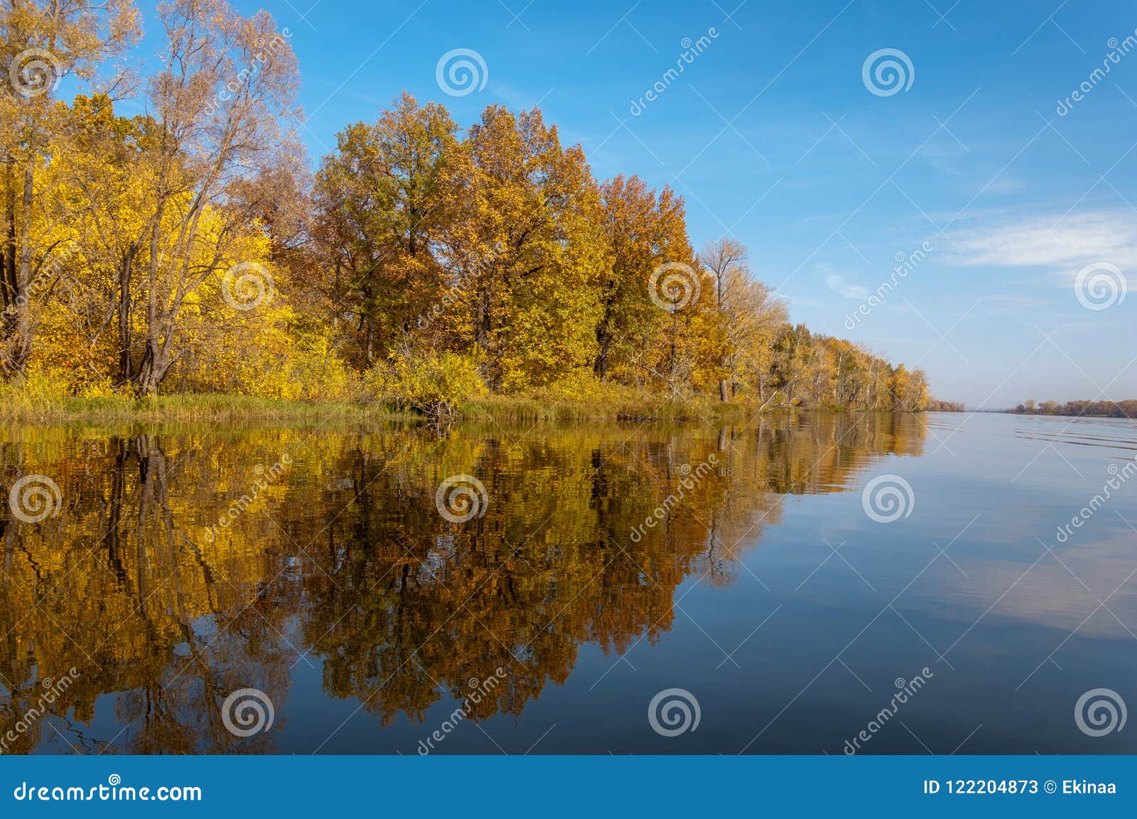 Fall River, Autumn Trees in Gold Stock Image - Image of foliage, bright ...
