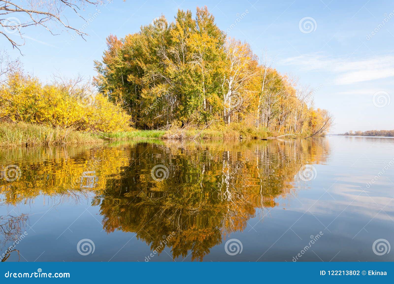 Fall River, Autumn Trees in Gold Stock Photo - Image of cloud, forest ...