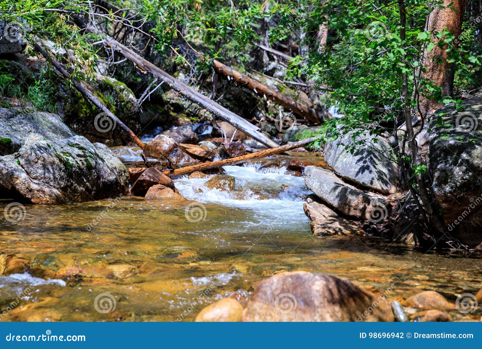Fall River Riffle stock photo. Image of rocks, national - 98696942
