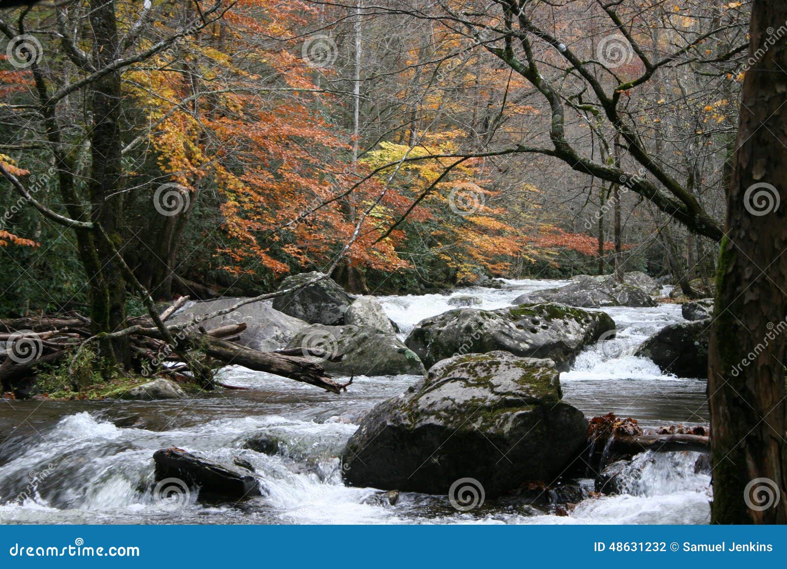 Fall river stock photo. Image of water, foliage, smoky - 48631232