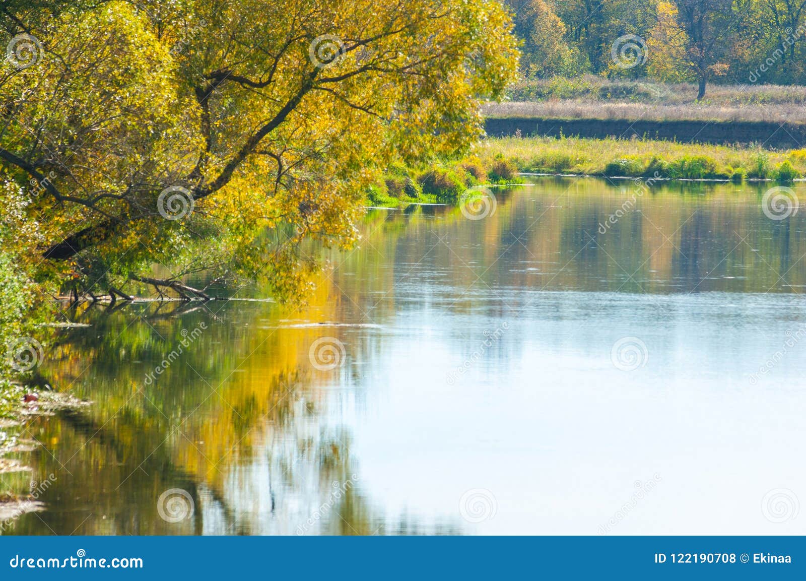 Fall River, Trees Dressed in Yellow Leaves Leaned Over the Water Stock ...