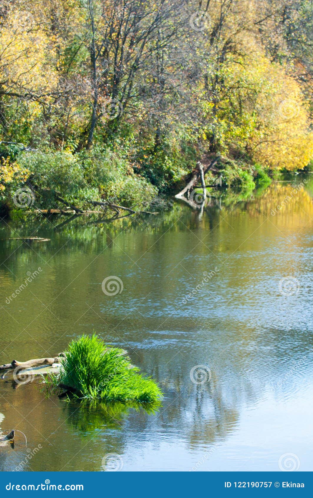 Fall River, Trees Dressed in Yellow Leaves Leaned Over the Water Stock ...
