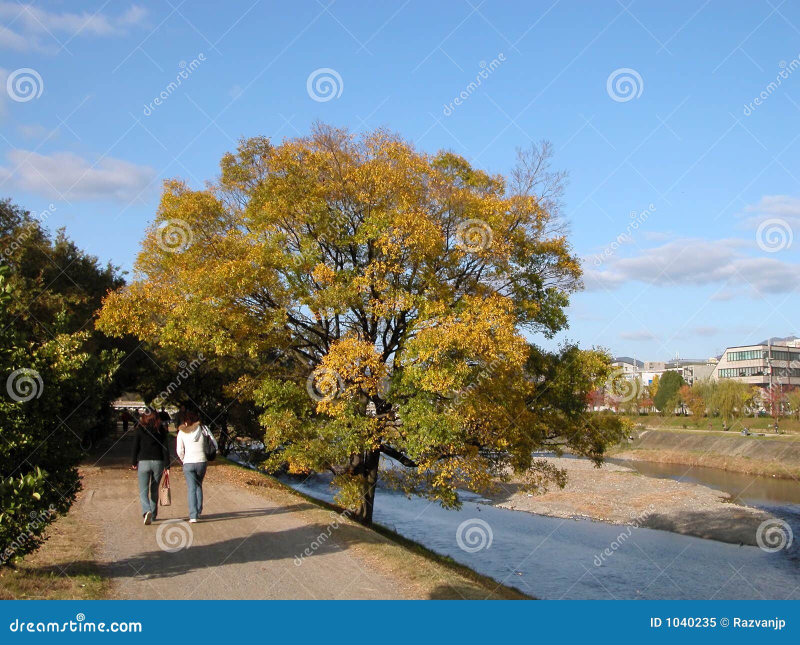 Fall on the riverside stock image. Image of stepping, people - 1040235