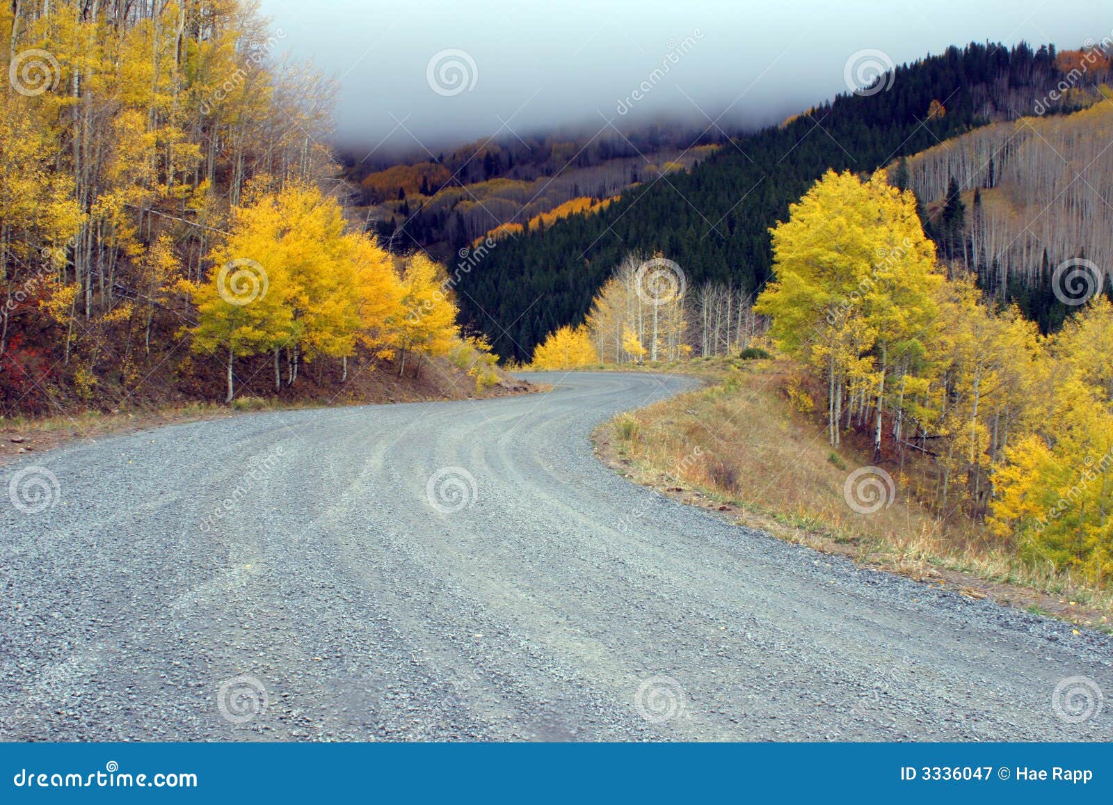 The fall road stock image. Image of colorful, mountain - 3336047