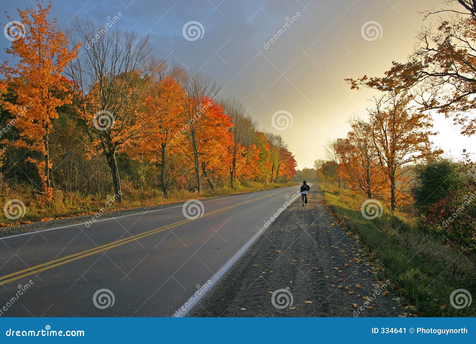 Fall Road stock image. Image of tree, fall, colors, autumn - 334641