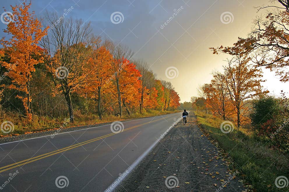 Fall Road stock image. Image of tree, fall, colors, autumn - 334641