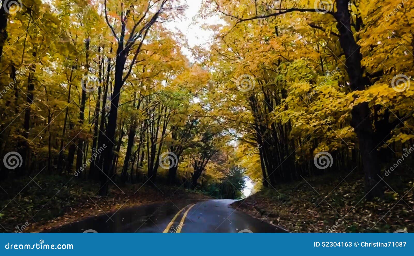 Fall road stock image. Image of fall, yellow, leaf, road - 52304163