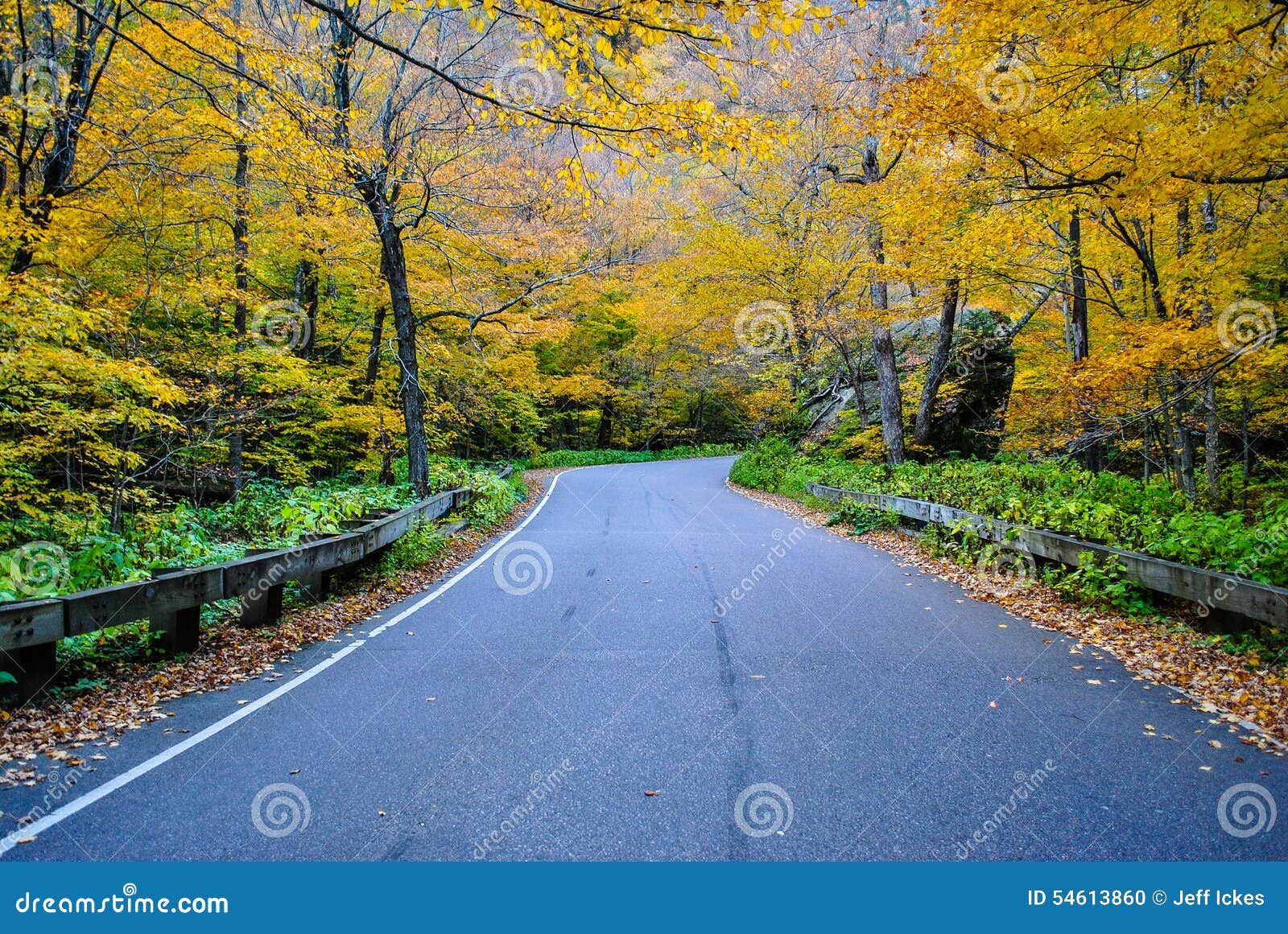 Fall roadtrip stock photo. Image of yellow, leaves, winds - 54613860