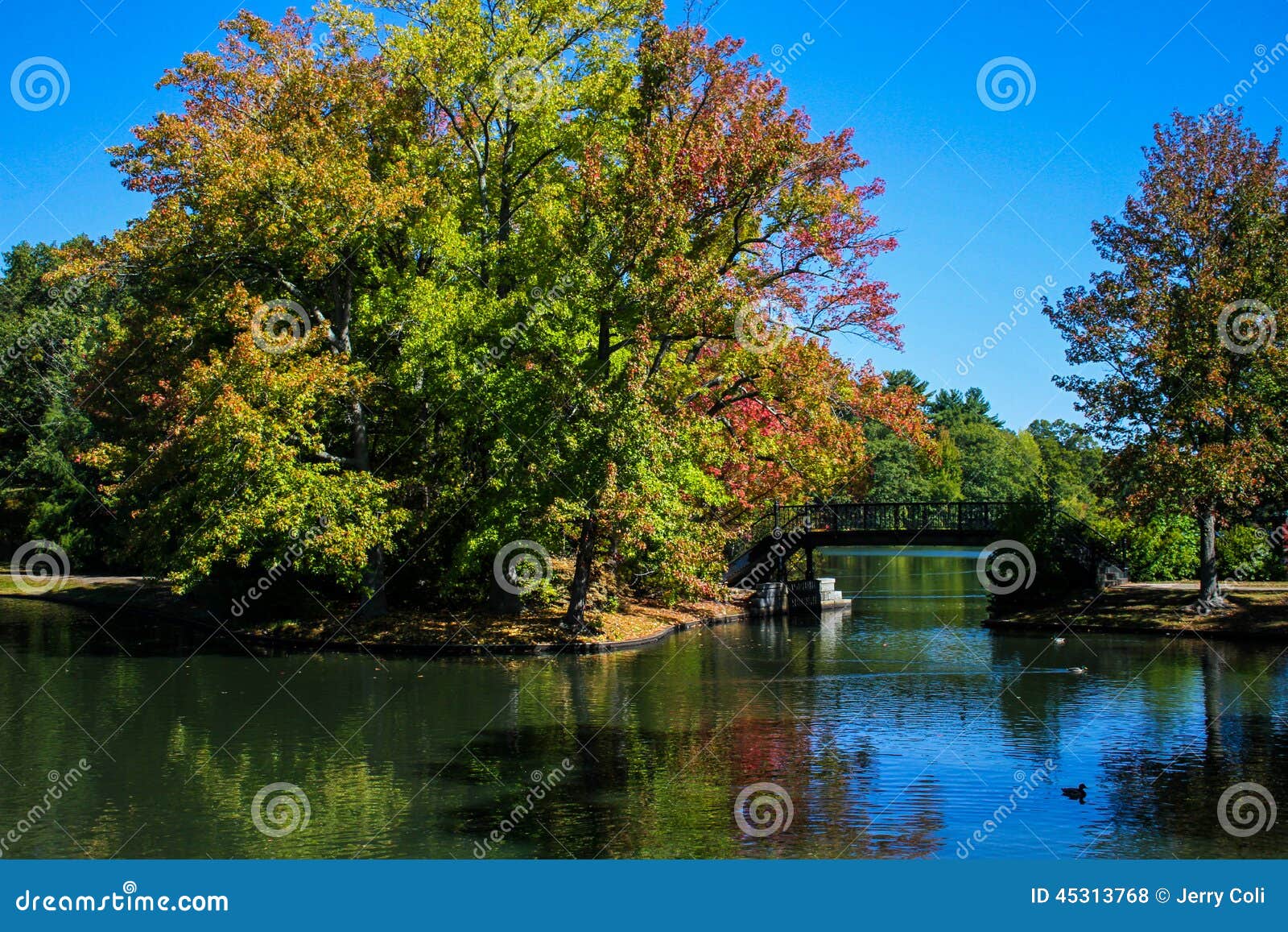 The Carousel, Roger Williams Park Editorial Photo | CartoonDealer.com ...
