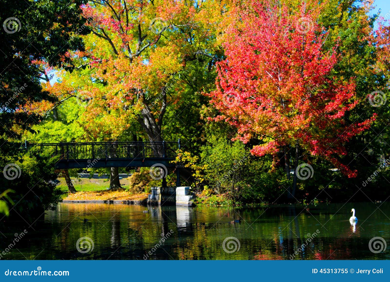 Fall at Roger Williams Park, Providence, RI. Editorial Image - Image of ...