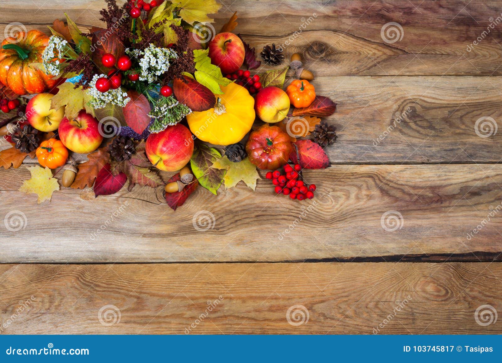 Fall Rustic Background with Red Berries Stock Image - Image of autumn ...