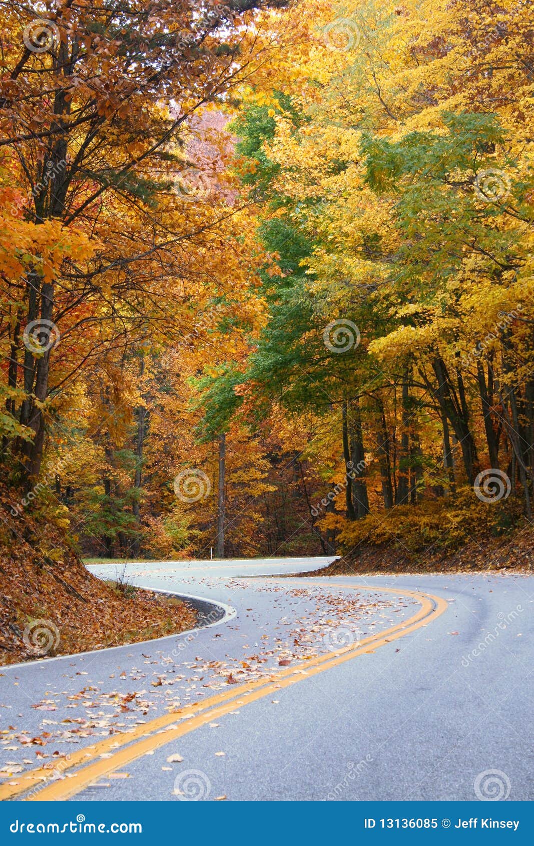 Fall S Curve stock image. Image of road, line, curve - 13136085