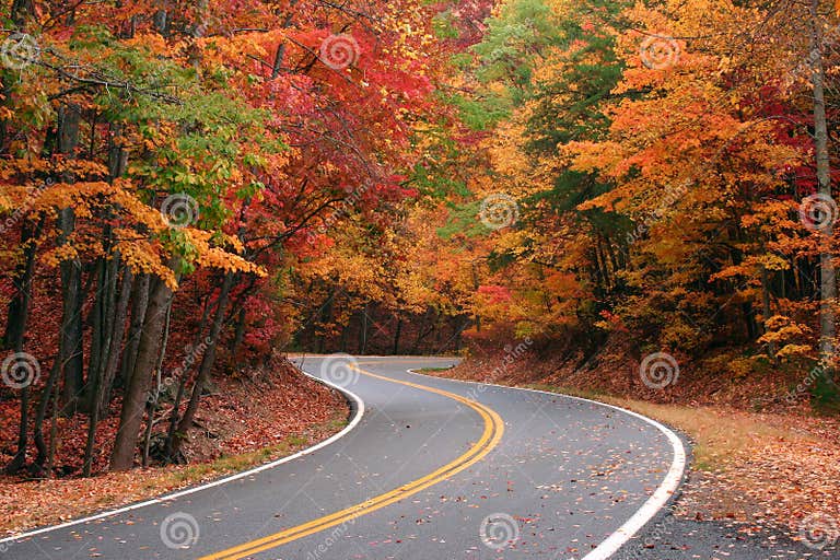 Fall S Curve stock photo. Image of color, nature, colorful - 4902974