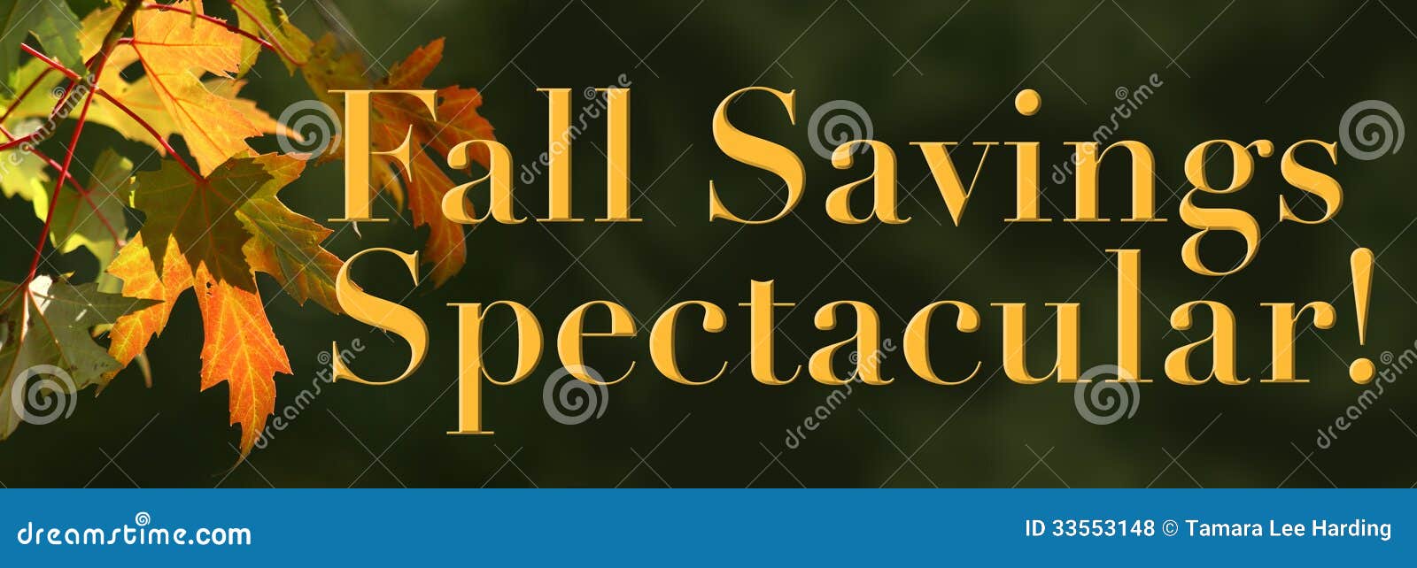 Fall Savings Spectacular! stock photo. Image of maple - 33553148