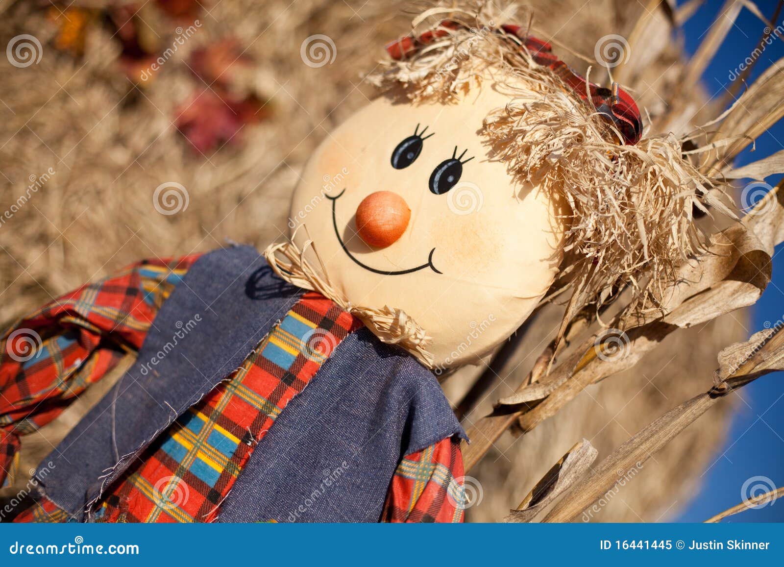 Fall Scarecrow stock image. Image of overalls, crisp - 16441445