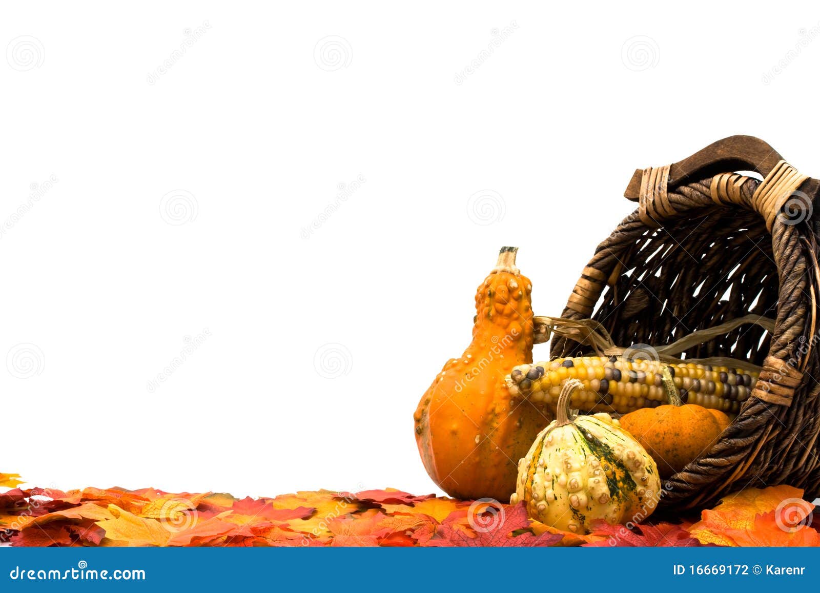 Fall Scene stock photo. Image of colourful, gourd, empty - 16669172