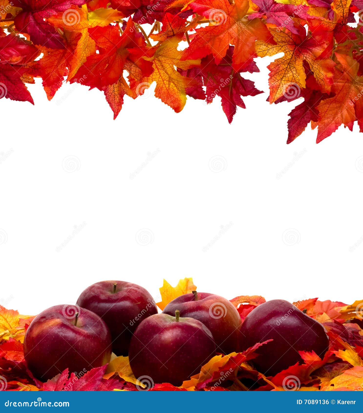 Fall Scene stock photo. Image of foliage, round, tree - 7089136