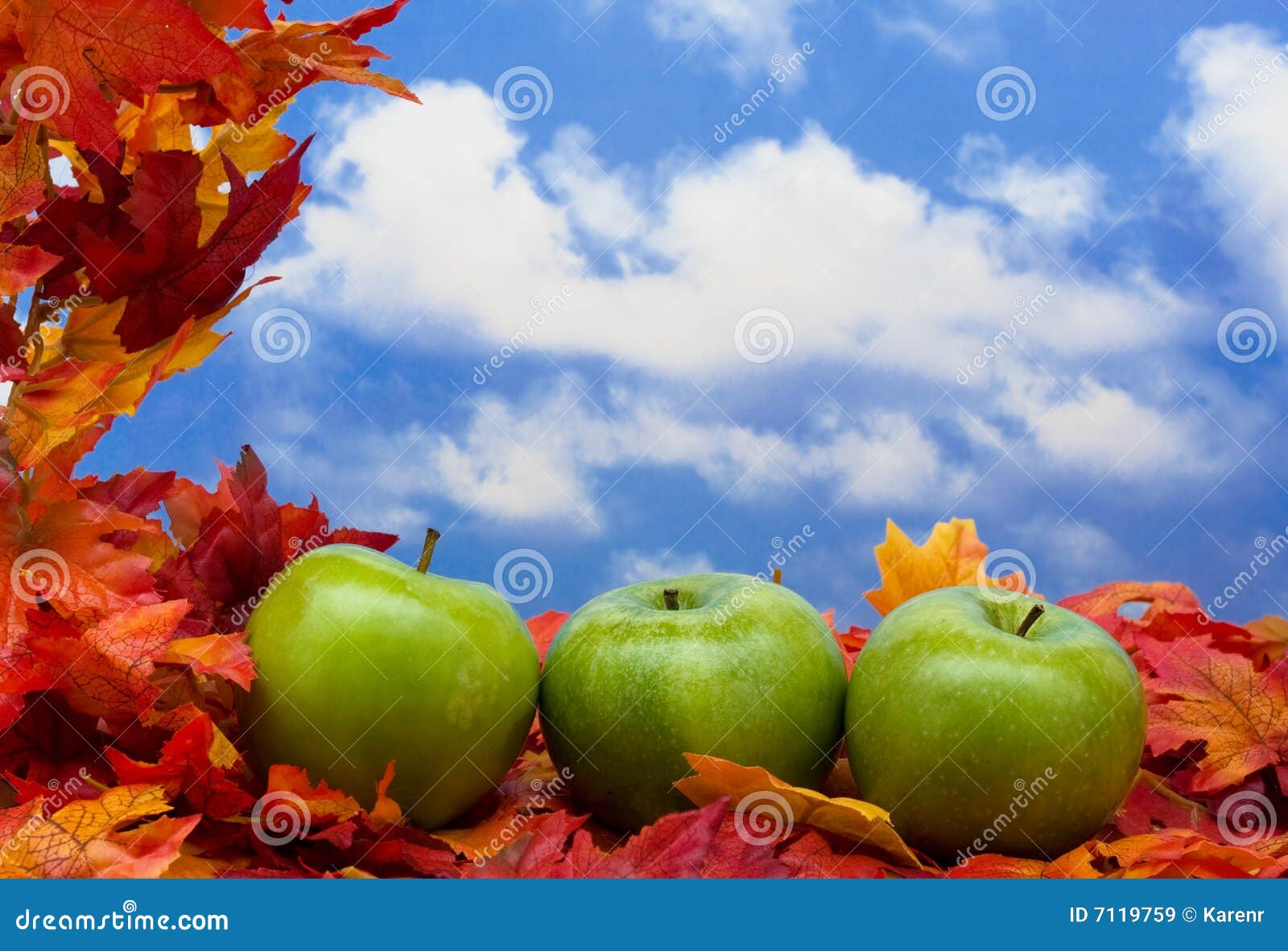 Fall Scene stock image. Image of green, foliage, month - 7119759