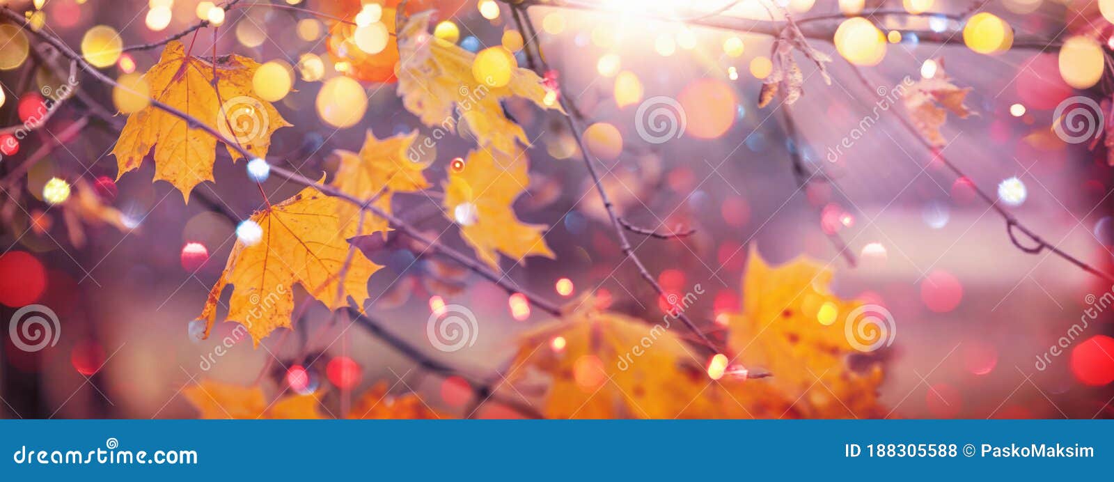 Fall Scene. Bokeh Effect. Trees and Leaves in Sunlight Rays Stock Photo ...